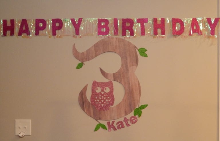 Owl Themed Birthday Party | This Blue Dress